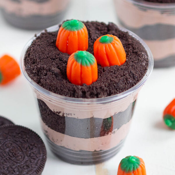 Pumpkin Patch Dirt Cups - Pumpkin 'N Spice